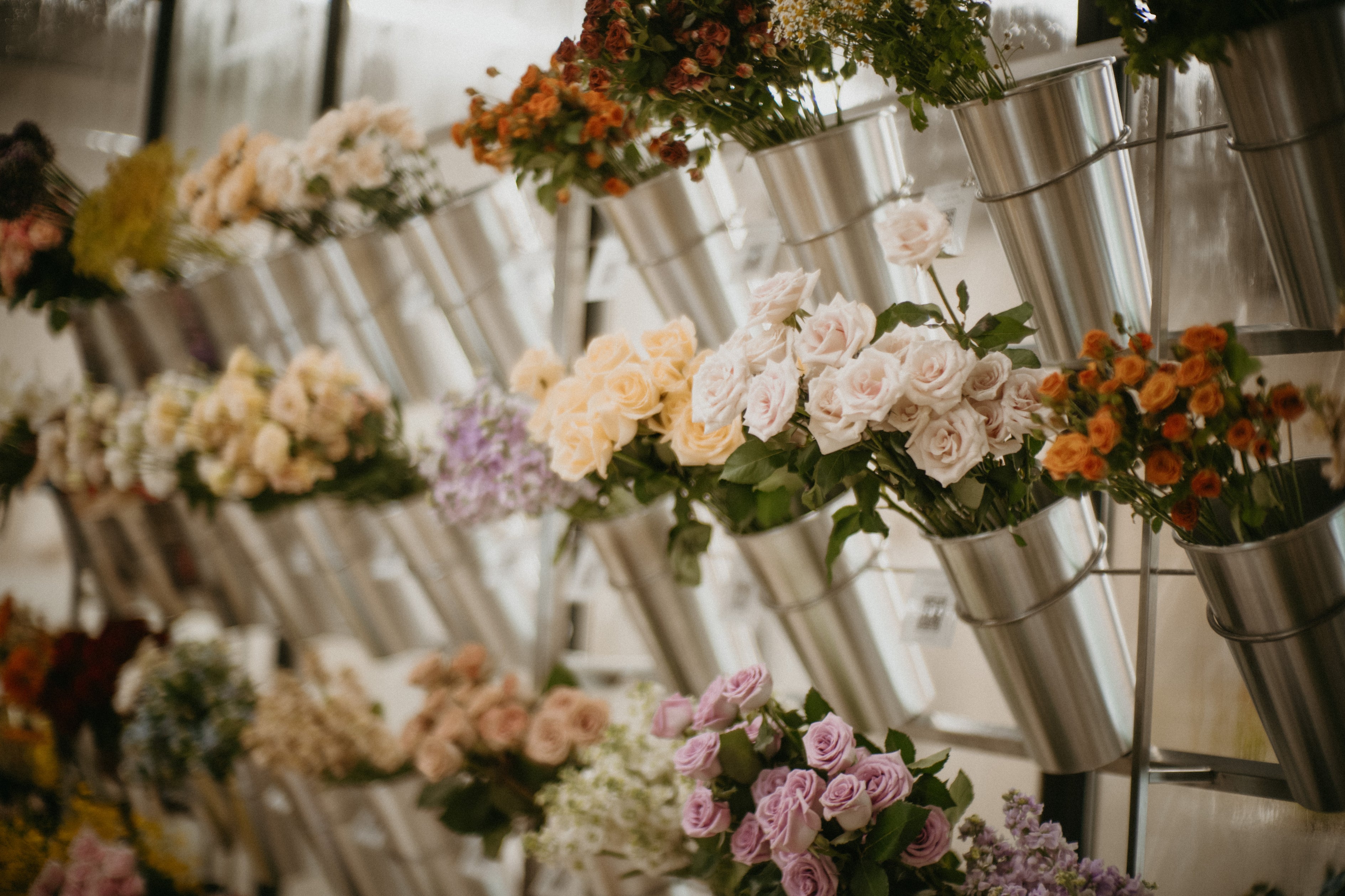 Flower Knowledge – Maison Garden