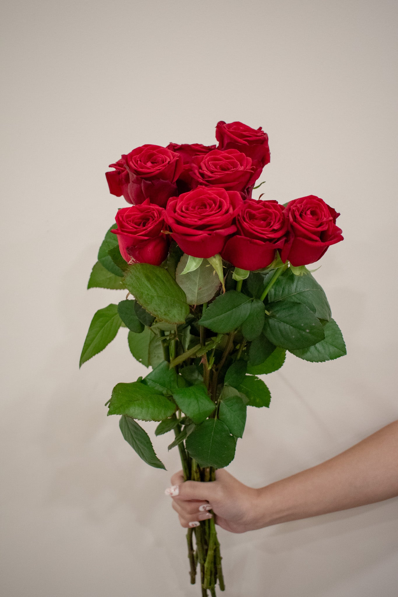 ROSE KENYA RED – Maison Garden