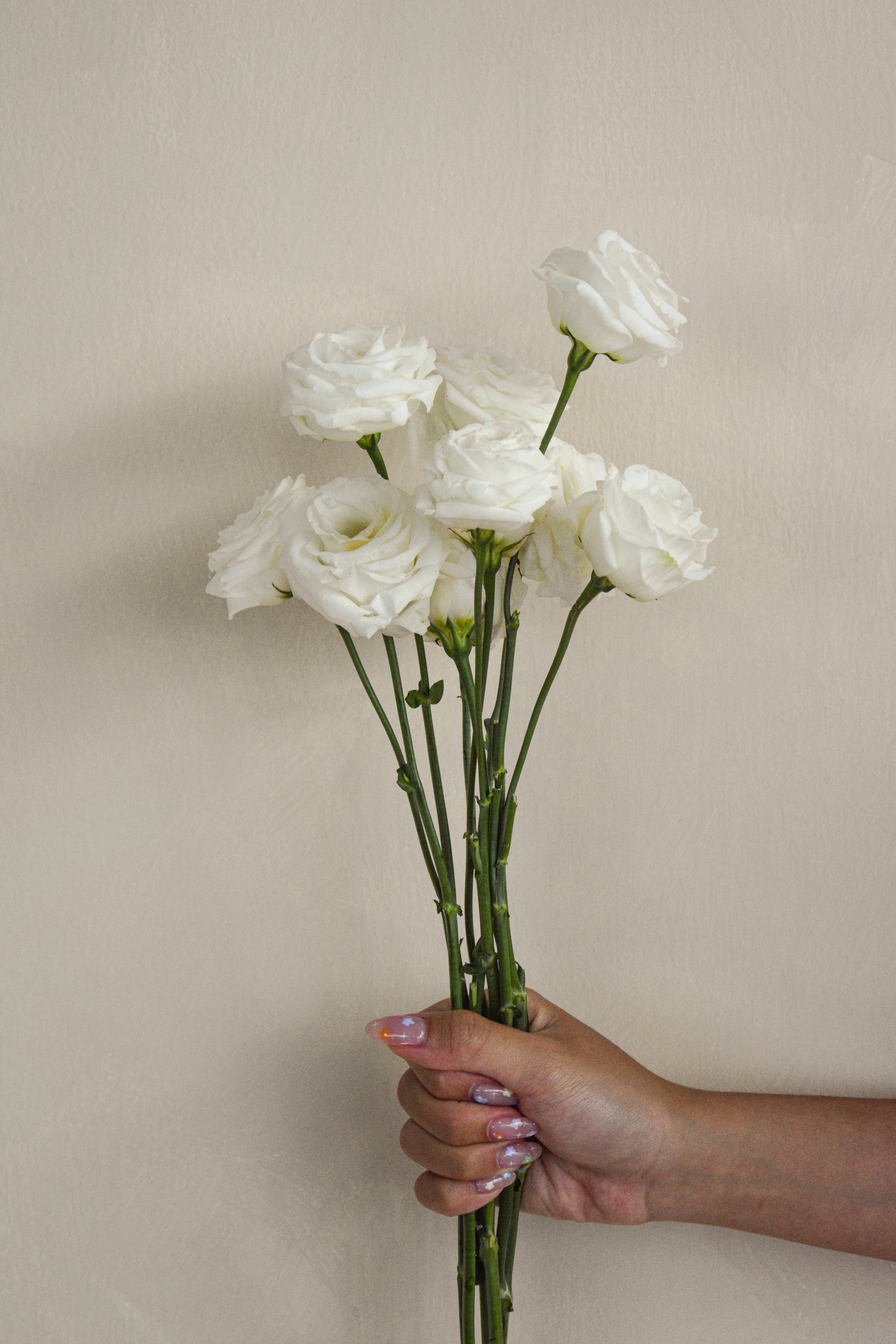EUSTOMA WHITE – Maison Garden